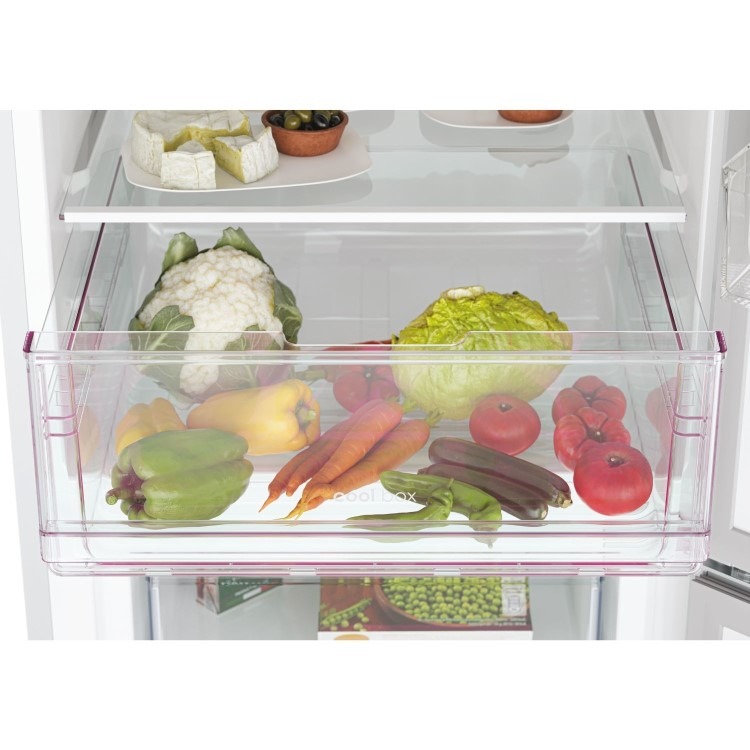 Candy 246 Litre 50/50 Freestanding Fridge Freezer - White - Essential Depot