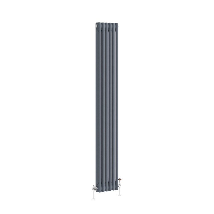 Reggio Anthracite Vertical Double Column Traditional Radiator ...